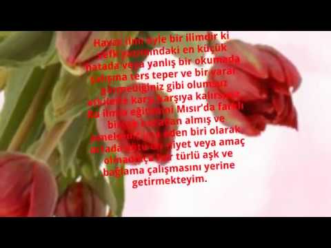 Kıbrıs Medyum Hocalar, Kıbrıs'daki Medyumlar, Kıbrıs'daki Hocalar