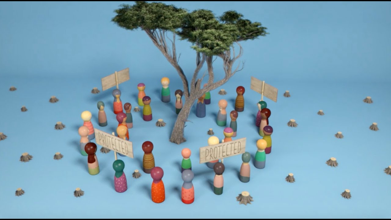 Sustainability: another key piece of the poverty puzzle - YouTube