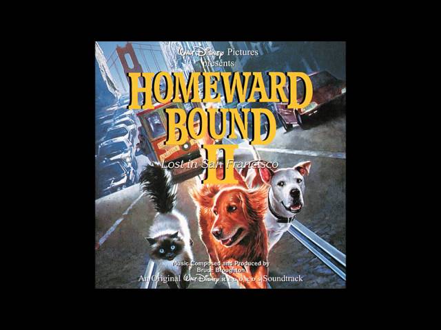Homeward Bound 2 Lost In San Francisco Riley