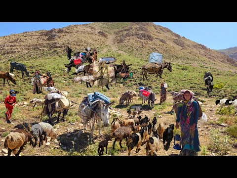 Göçebe Yaşam: Göçebe Kızlar Yeşil Yaylalara Taşınıyor 🌿 | Tehlikeli Yollardan Geçen Göçebe Yolculuğ