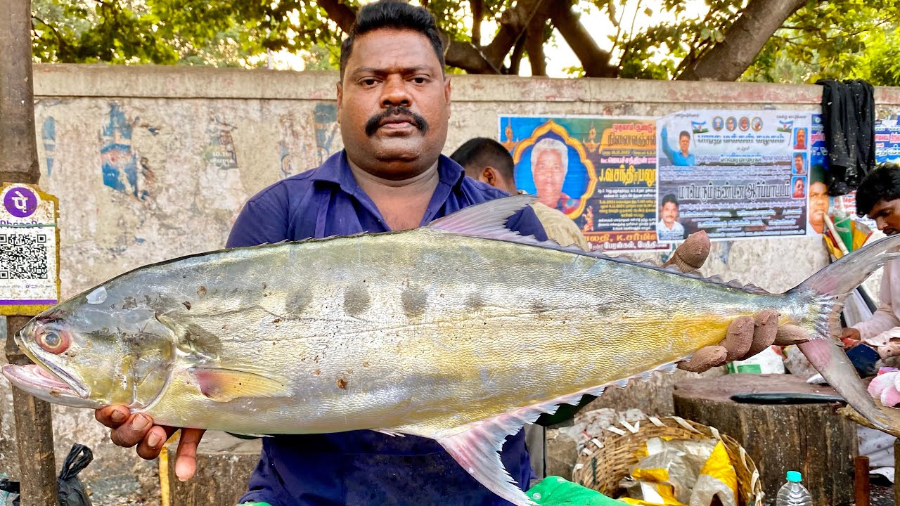 KASIMEDU 🔥 SPEED SELVAM | HUGE QUEEN TRAVELLY FISH CUTTING VIDEO | 4K ...