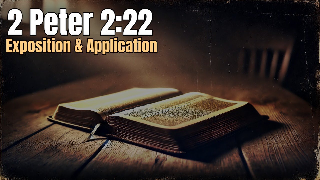 2 Peter 2:22 - The Truth About False Converts - YouTube