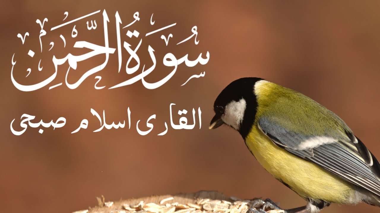 Sura Al Rehman full || Sura Rehman full Pani pati Voice Beautiful ...