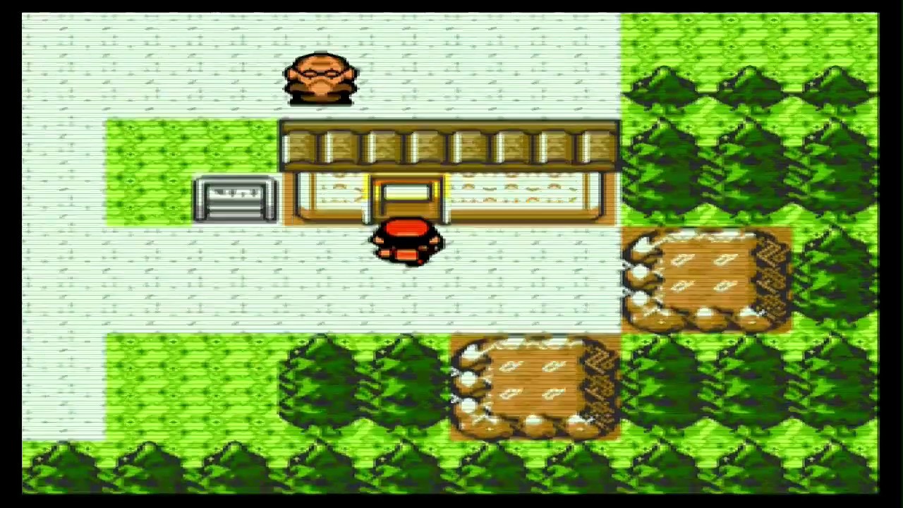 Pokemon crystal ep.10 :RIVAL BATTLE AND ILEX FOREST - YouTube