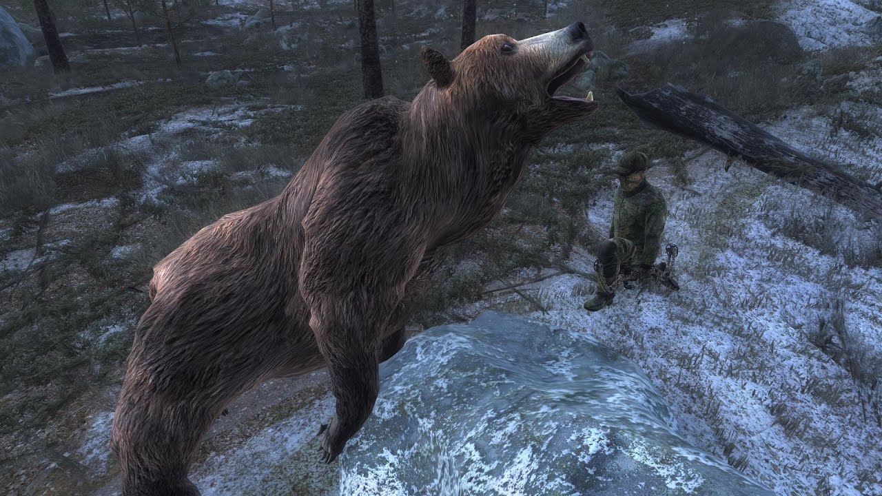 THE HUNTER: DD33's Monster Brown Bear Bow Slaughter 100m 25 ,26 &26 ...