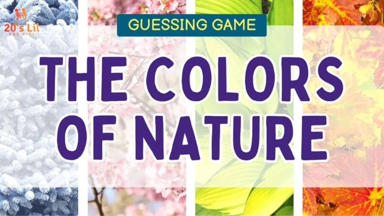 Color Quiz Game for Kids | Fun Learning Video! - YouTube