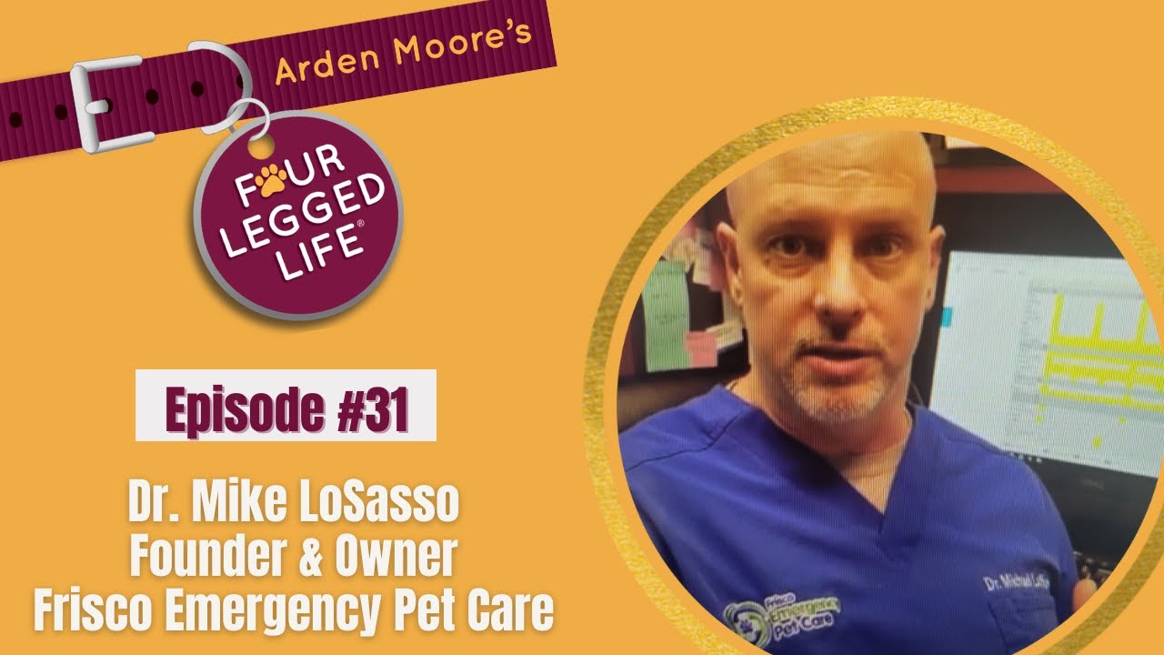 Ep31 Dr. Mike LoSasso - YouTube