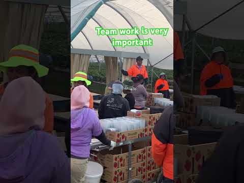 Team Work is Very Important - YouTube