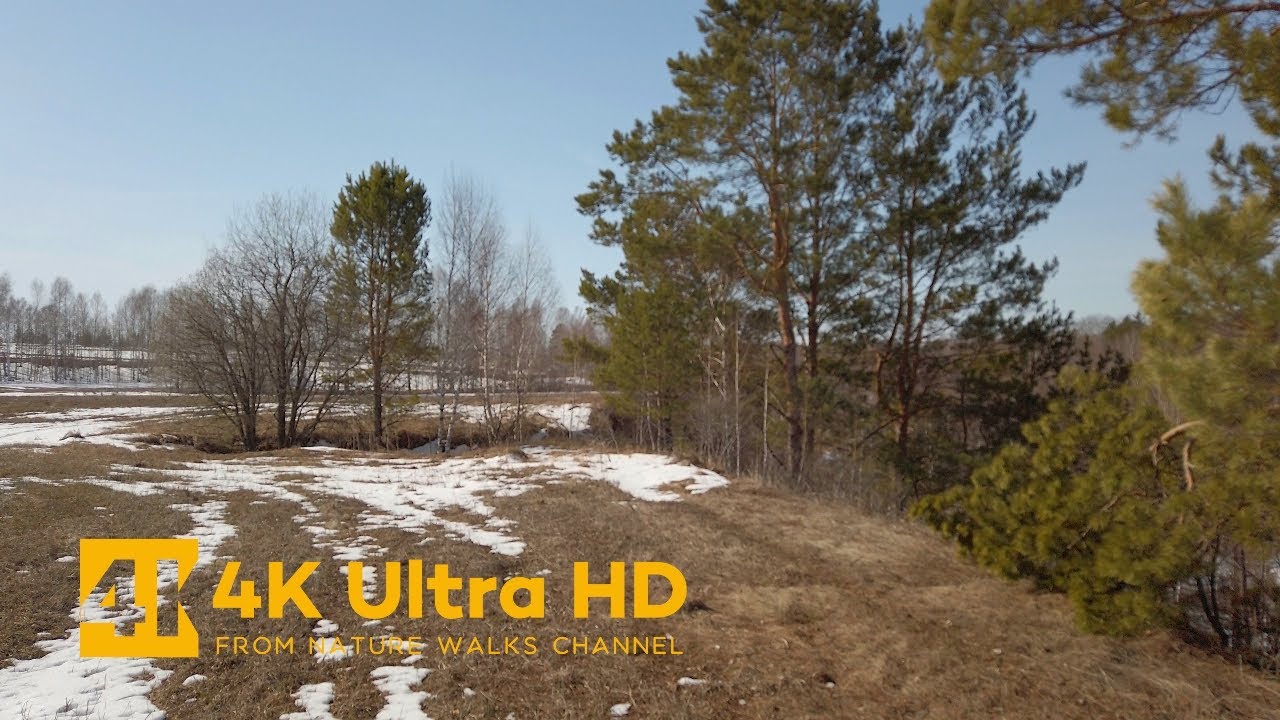 A Morning Walk in Cloudy Spring Weather - YouTube