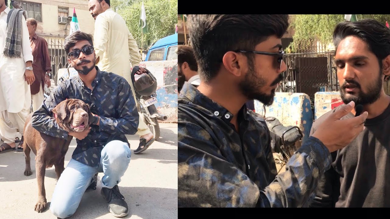 Saddar Sunday Dogs market | 29/10/23 - Karachi rare dogs breed Latest ...