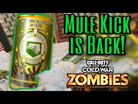 MULE KICK IS COMING BACK in Black Ops Cold War Zombies! (Black Ops Cold ...