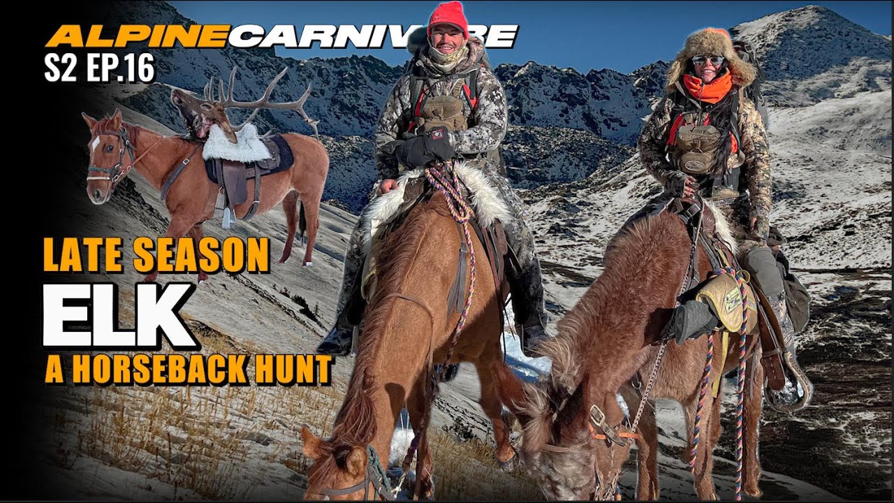 HIGH COUNTRY ELK HUNT | LATE SEASON HORSEBACK BULLS - YouTube