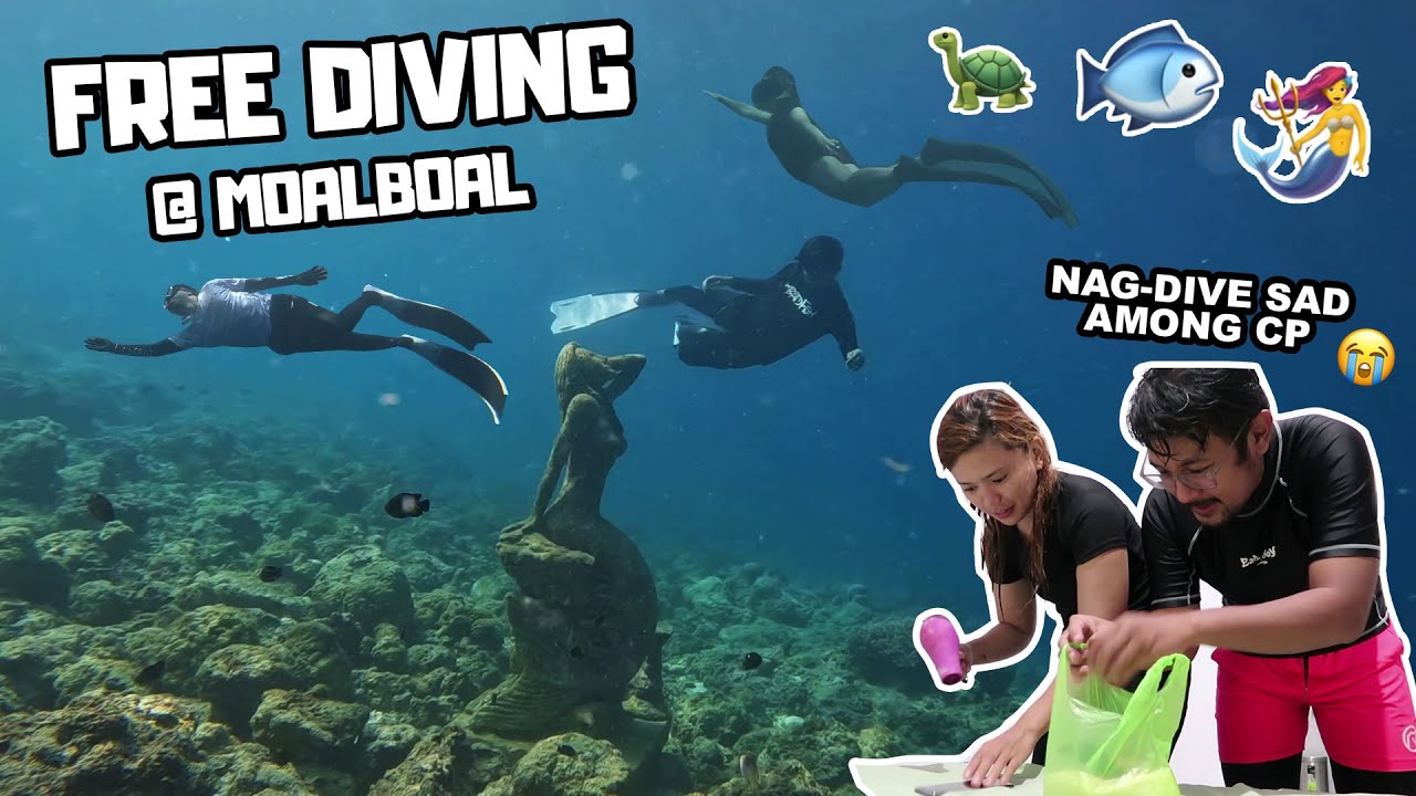 MOALBOAL 2022 Free Diving and Misadventures! Mermaid, Turtles, Sardine ...