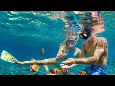 Snorkeling : outdoor adventure - YouTube