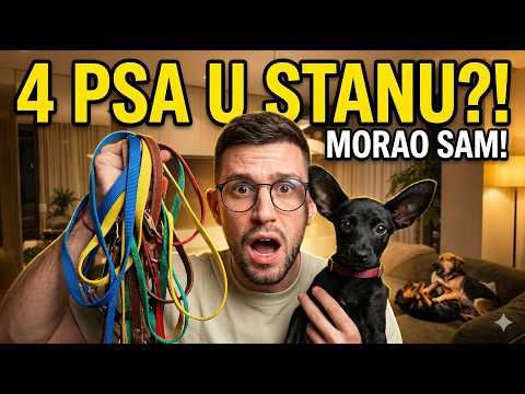 ŽIVIM SA ČETIRI PSA - Udomili smo je sa ulice