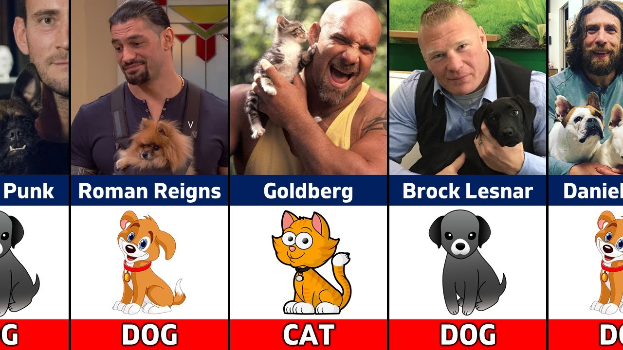 WWE Wrestlers Their Favorite Pets | Pets of WWE Wrestlers - YouTube