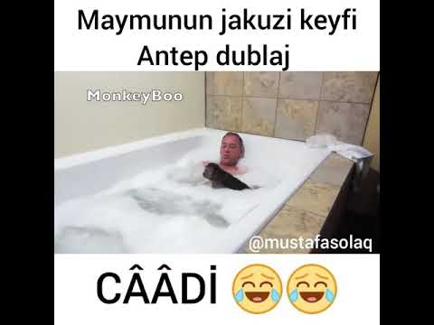 maymun jakuzi keyfi