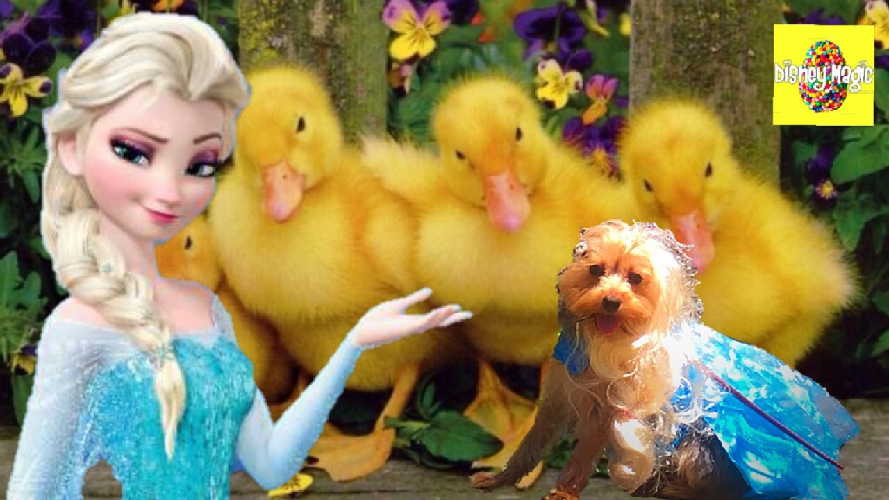 ♥Frozen Fever 2♥ Elsa Takes Her New Puppy To Mommy Ducks Surprise Eggs ...