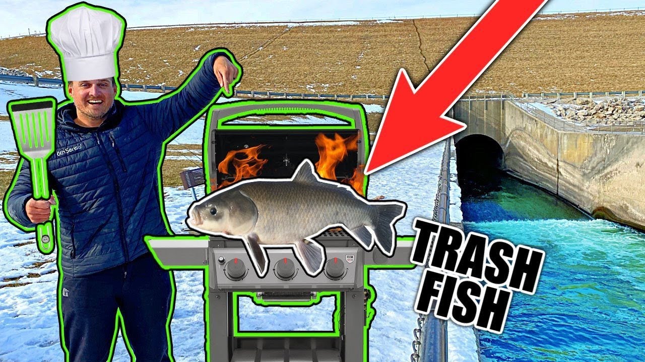 TRASH FISH *Catch n' Cook* on the Spillway Bank!!! - YouTube