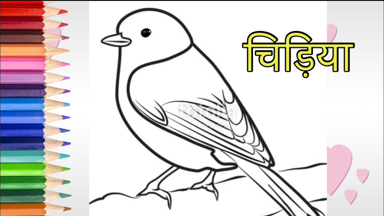 How to Draw Bird | Easy bird drawing | चिड़िया कैसे बनायें | Kids video ...