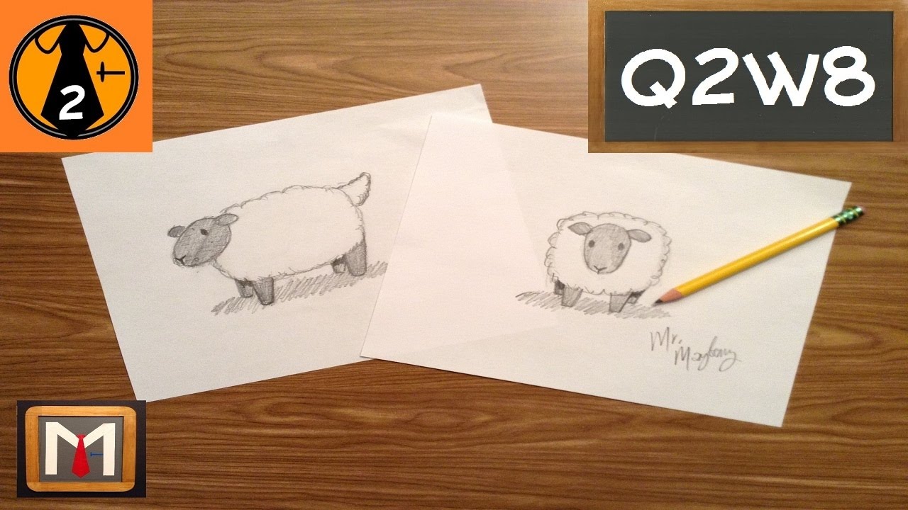 How to Draw Sheep (Side View & Front View) - YouTube