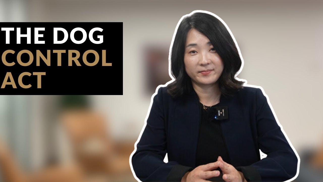 I HAVE BEEN CHARGED UNDER THE DOG CONTROL ACT, WHAT CAN I DO? DOG ...