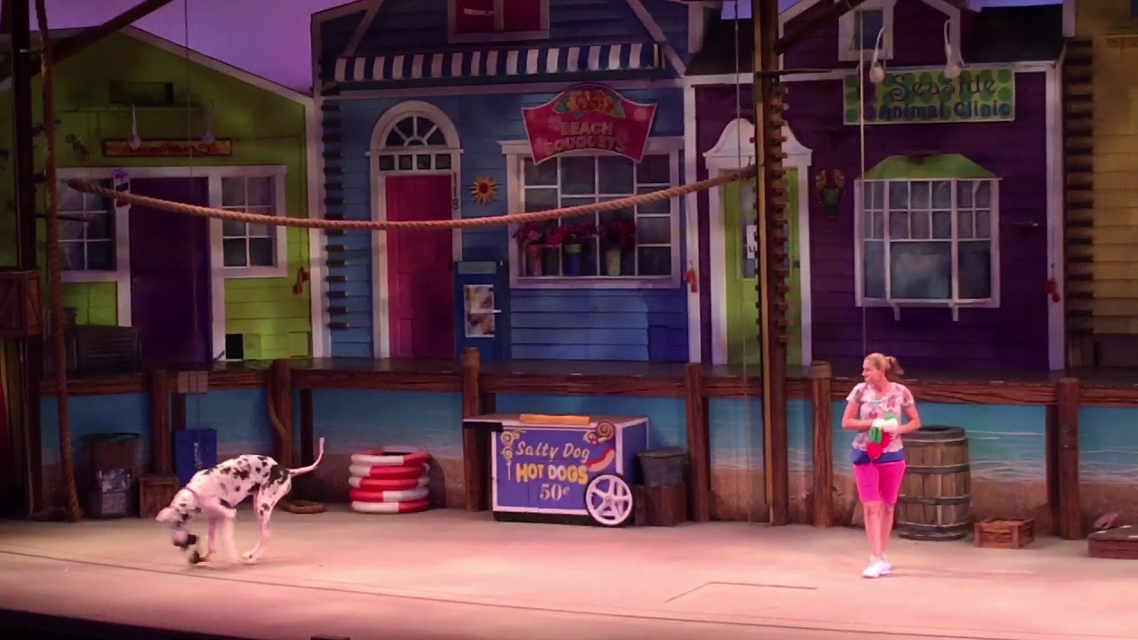 DISNEYLAND PETS AHOY ANIMAL SHOW | Orlando, Florida - YouTube
