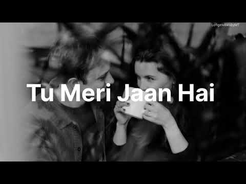 TU MERI JAAN HAIN  ( Slowed Reverb ) Kailash Kher