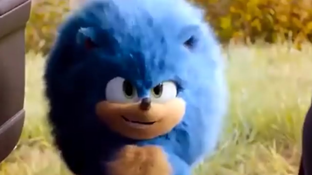 Smart little hedgehog - YouTube