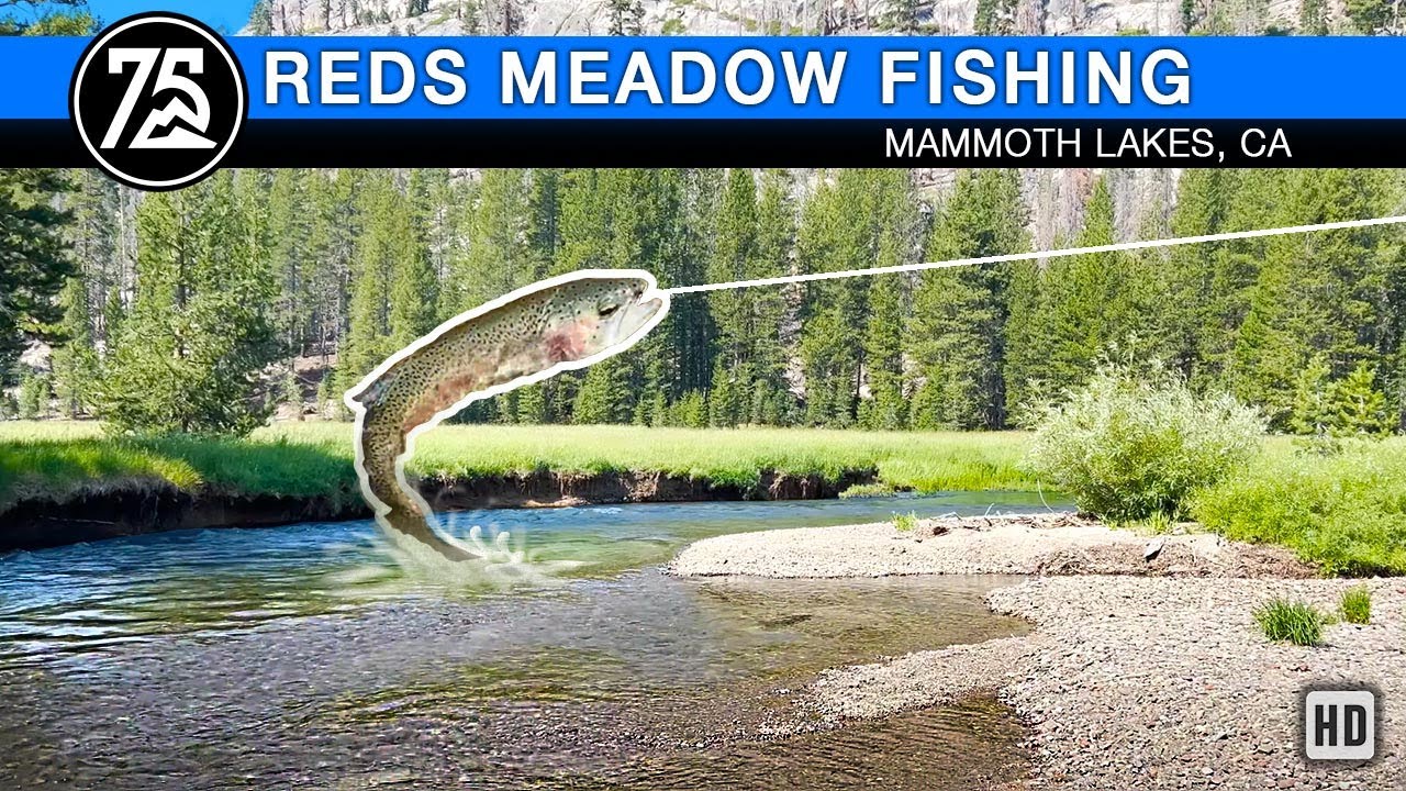 Reds Meadow fishing in Mammoth Lakes, CA at the Middle Fork San Joaquin ...