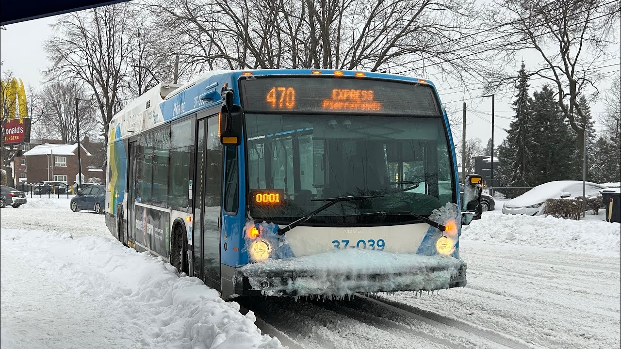 STM bus compilation (February 2025) - YouTube