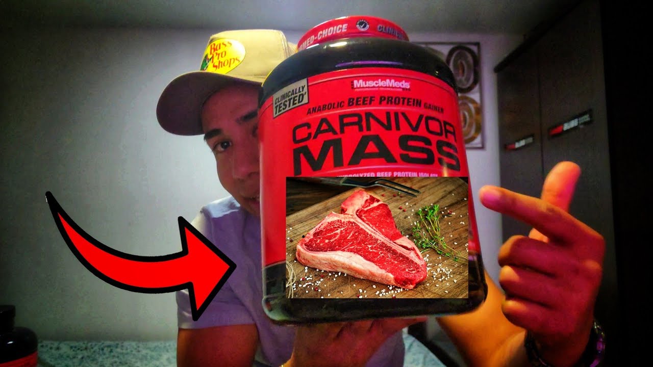 CARNIVOR MASS | PROTEÍNA HECHA DE CARNE ANABOLICA 🥩😱 ¿ES BUENA? - YouTube