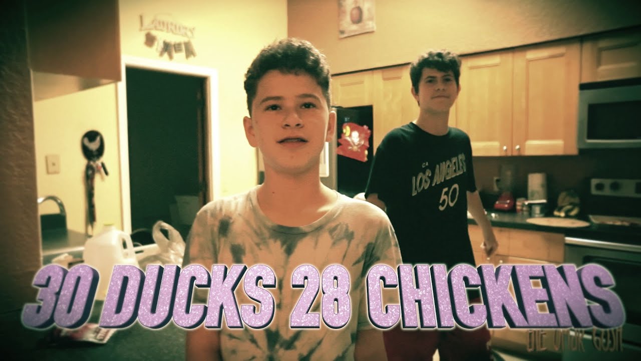 30 Ducks And 28 Chickens Riddle - The Omar Gosh - YouTube
