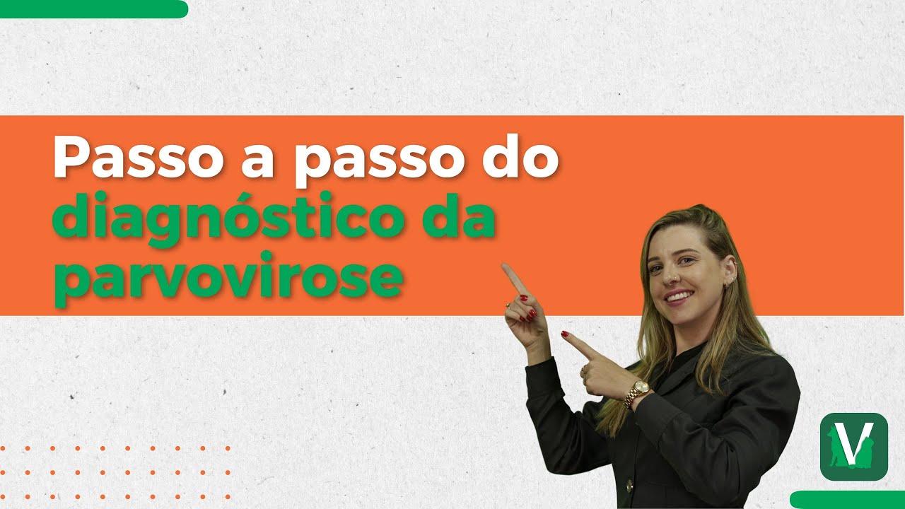 Diagnóstico da PARVOVIROSE CANINA - YouTube