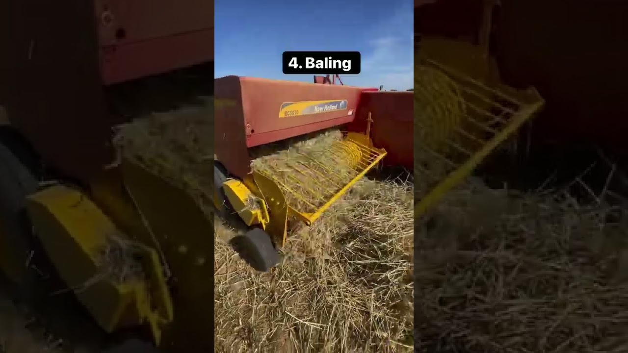 five steps to hay making - YouTube