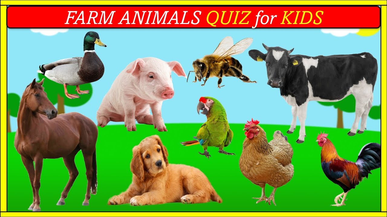 Learn Farm Animal Name | Quiz for Kids | Guessing Animals in 5 sec for ...
