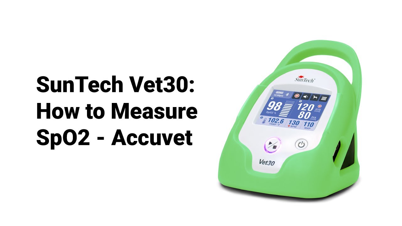 SunTech Vet30: How to Measure Sp02 - Accuvet - YouTube