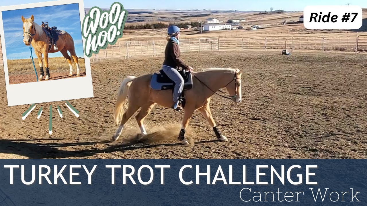Ride #7 The One Where We Canter A LOT l Turkey Trot Challenge - YouTube