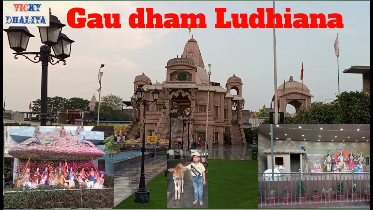Gau//Dham//Ludhiana//Redhe//Krishan//Temple//Gaushala//Hambra//Road ...