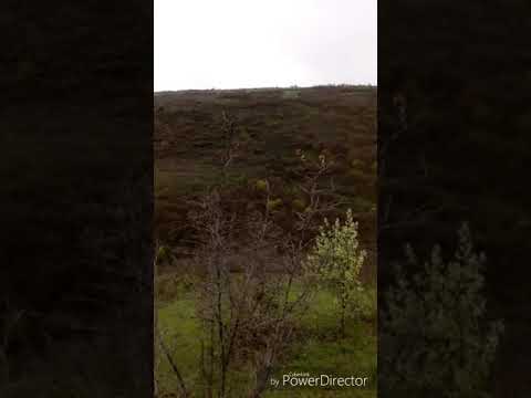 Mollaisaqli kendi qisa film. Volume 03/2018