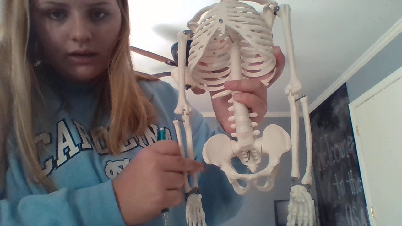 Bone Practical - YouTube