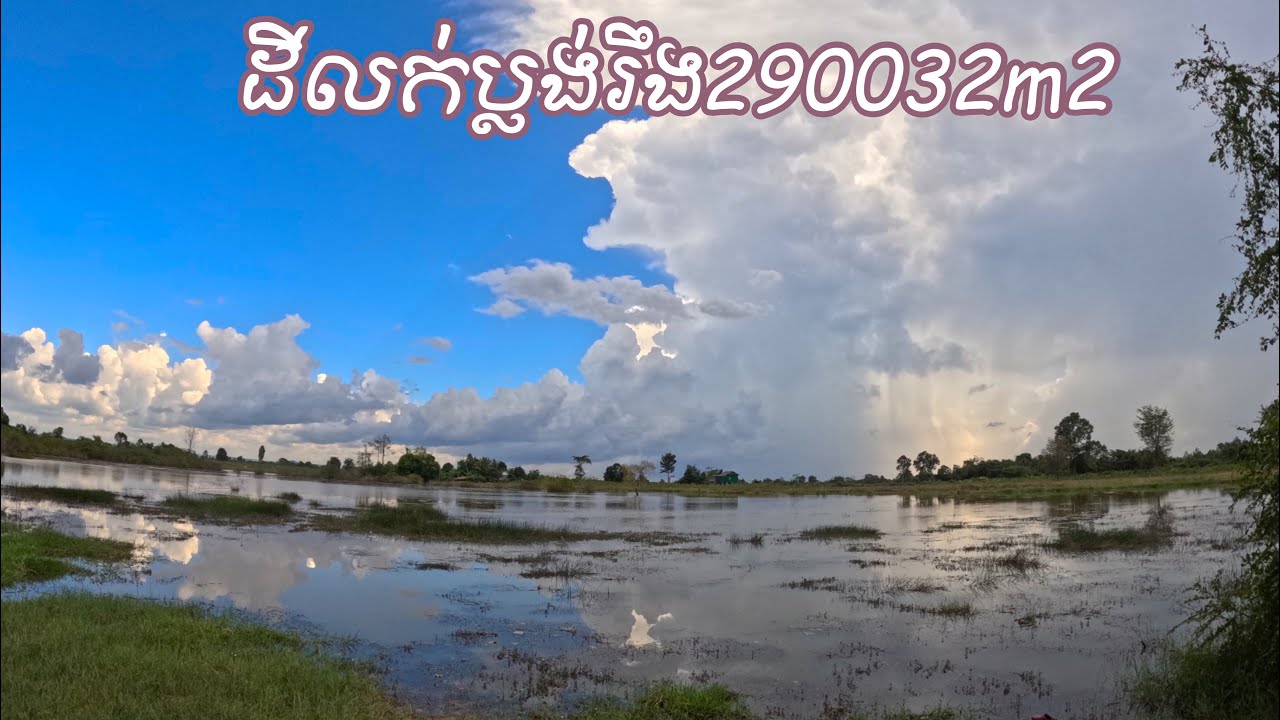 Real Estate 263: ដីលក់ប្លង់រឹង 30 hectares Land for sale 085282882 ...