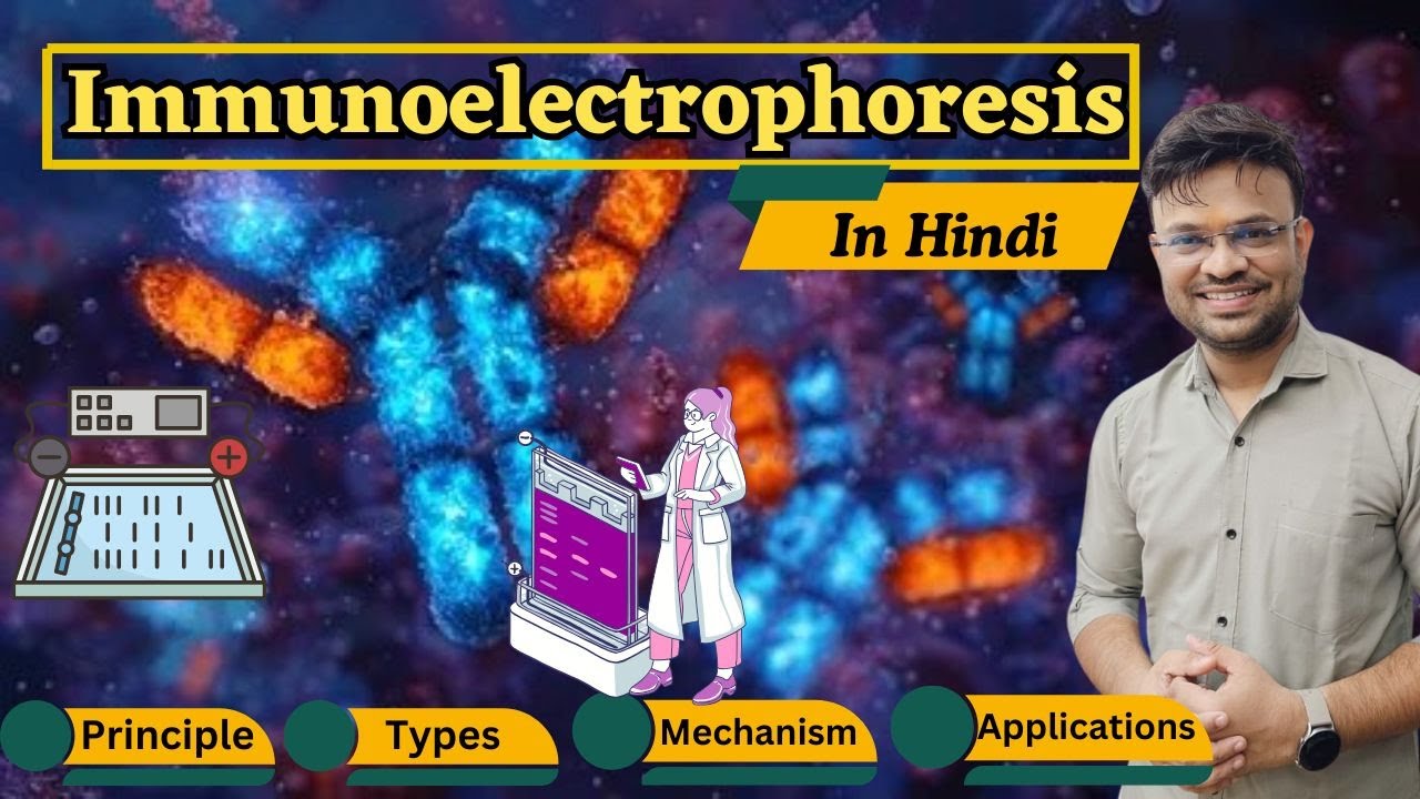 Immunoelectrophoresis Explained | Principle, Types, Mechanism ...