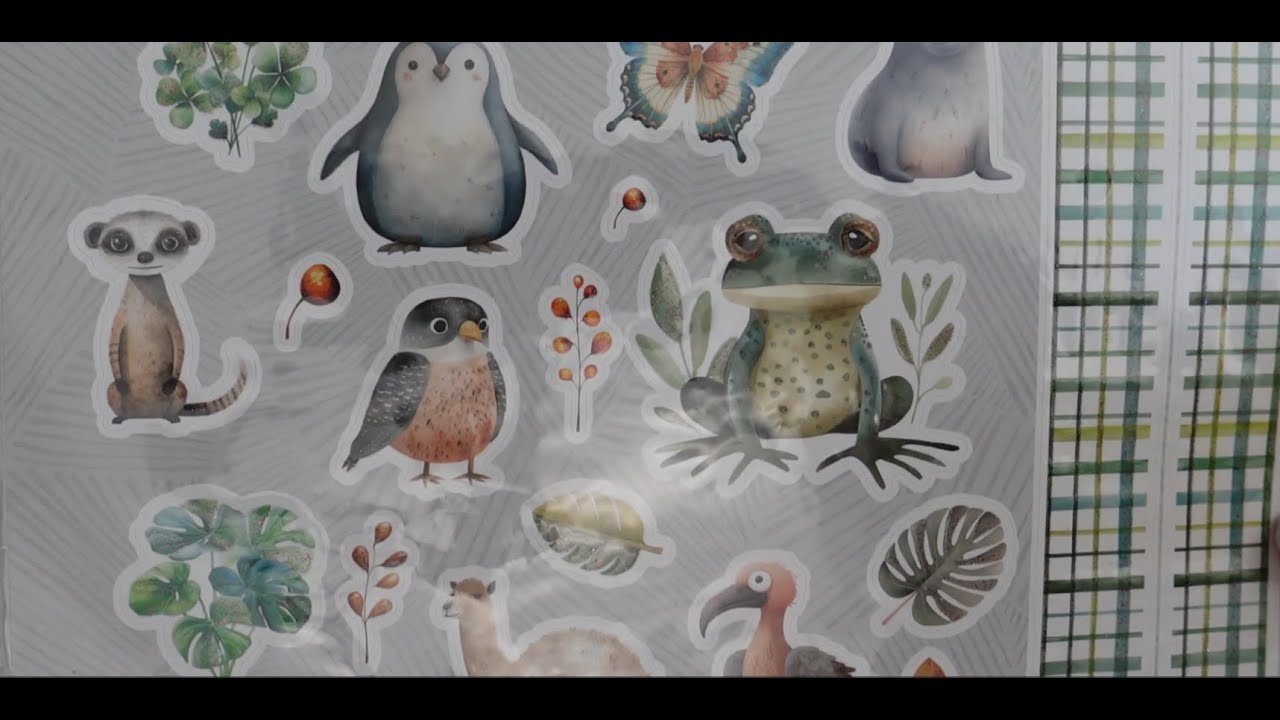 #actionhaul + Tedi und DM // wunderschöne Sticker und Stanzen! - YouTube