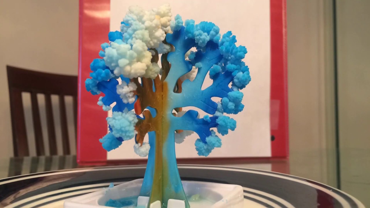 Kristalai auga 2. realiu laiku. pagreitinta. - YouTube