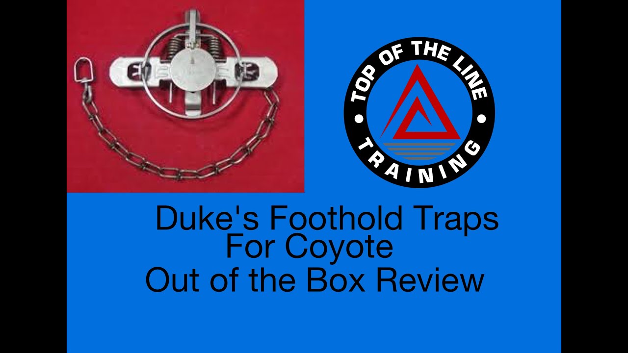 Duke's Foothold Traps for Coyote Out of the Box Review - YouTube