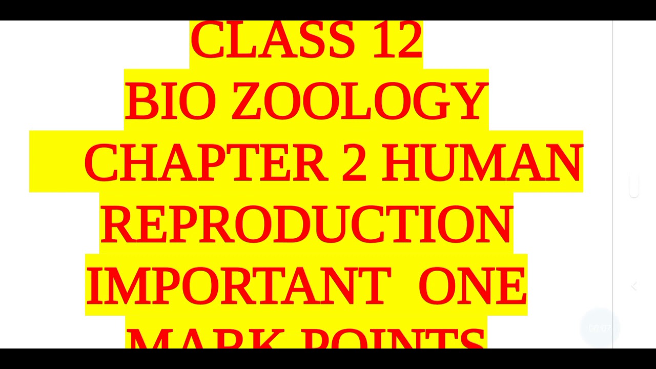 CLASS 12 ZOOLOGY CHAPTER 2 HUMAN REPRODUCTION IMPORTANT ONE MARK | PART ...