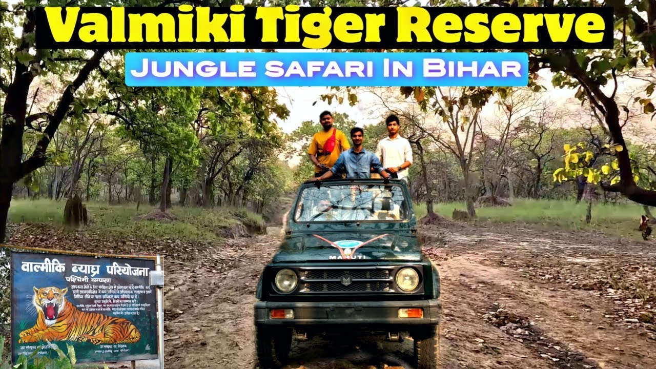Valmiki Tiger Reserve | jungle safari In Bihar || The Ankush Life - YouTube