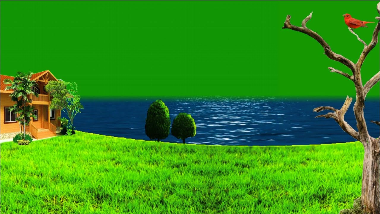 House Green Screen / River Green Screen / Tree Green Screen / Bird ...