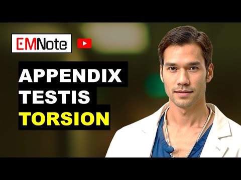 Torsion of Appendix Testis